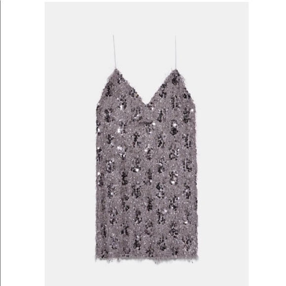 Zara | Dresses | Nwt Zara Sequin Fringe Party Dress | Poshmark